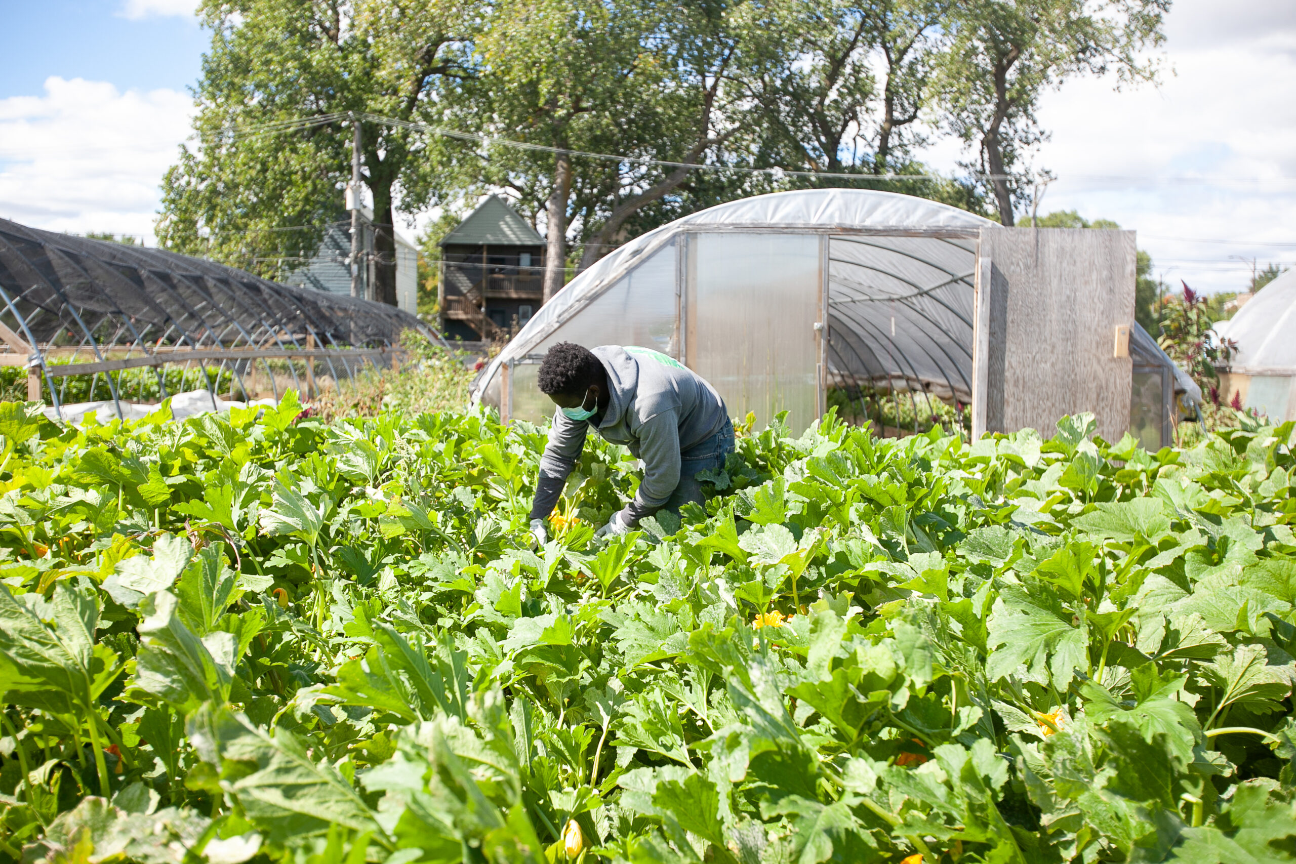 Beyond Food, Trust-Funded Organizations Working to End Hunger in Our ...