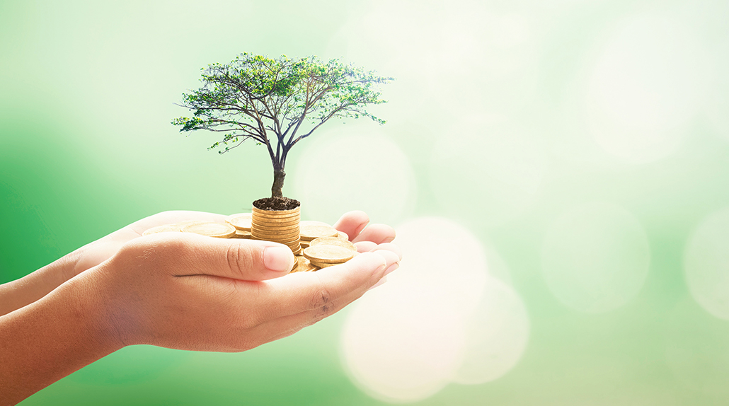 Bonus Season: Time to Consider a Donor Advised Fund - The Chicago ...