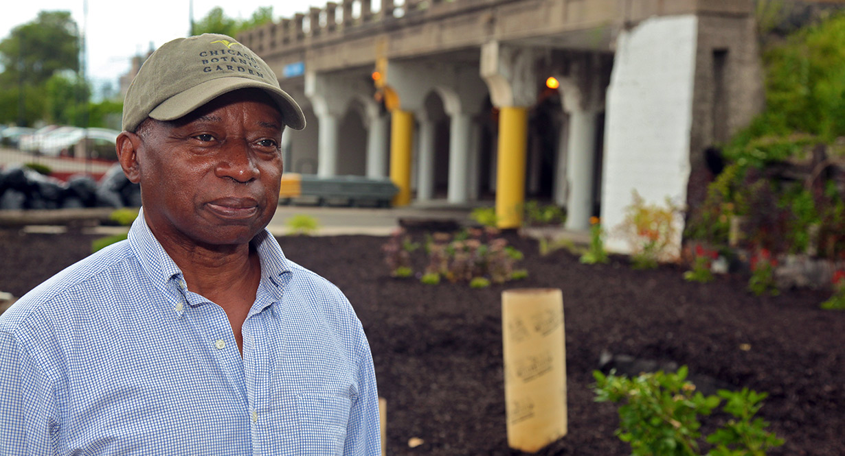 "Living Museum" Celebrates Biodiversity—In a Vacant Lot in Woodlawn ...