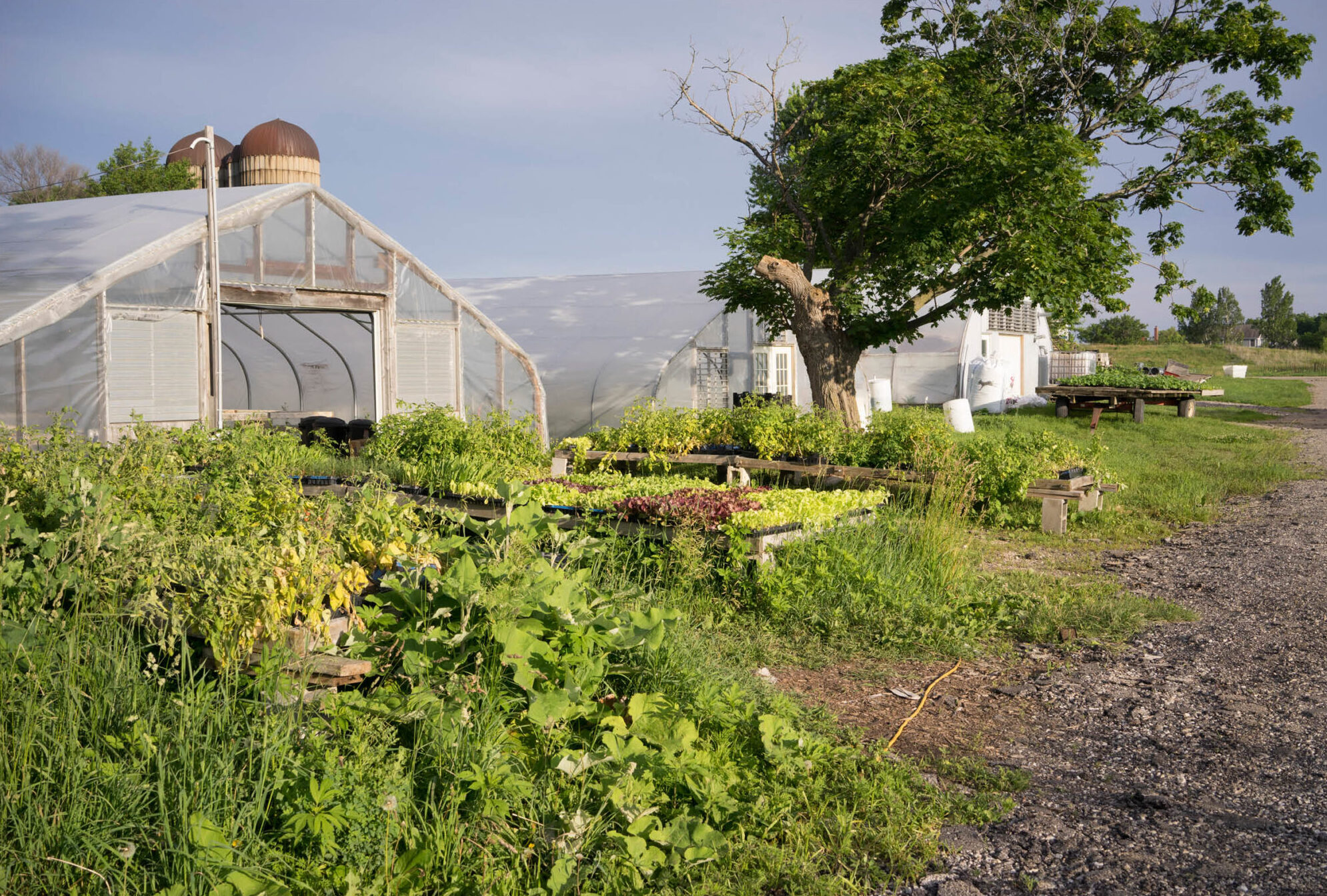 Creating a Sustainable Grain Hub - The Chicago Community Trust