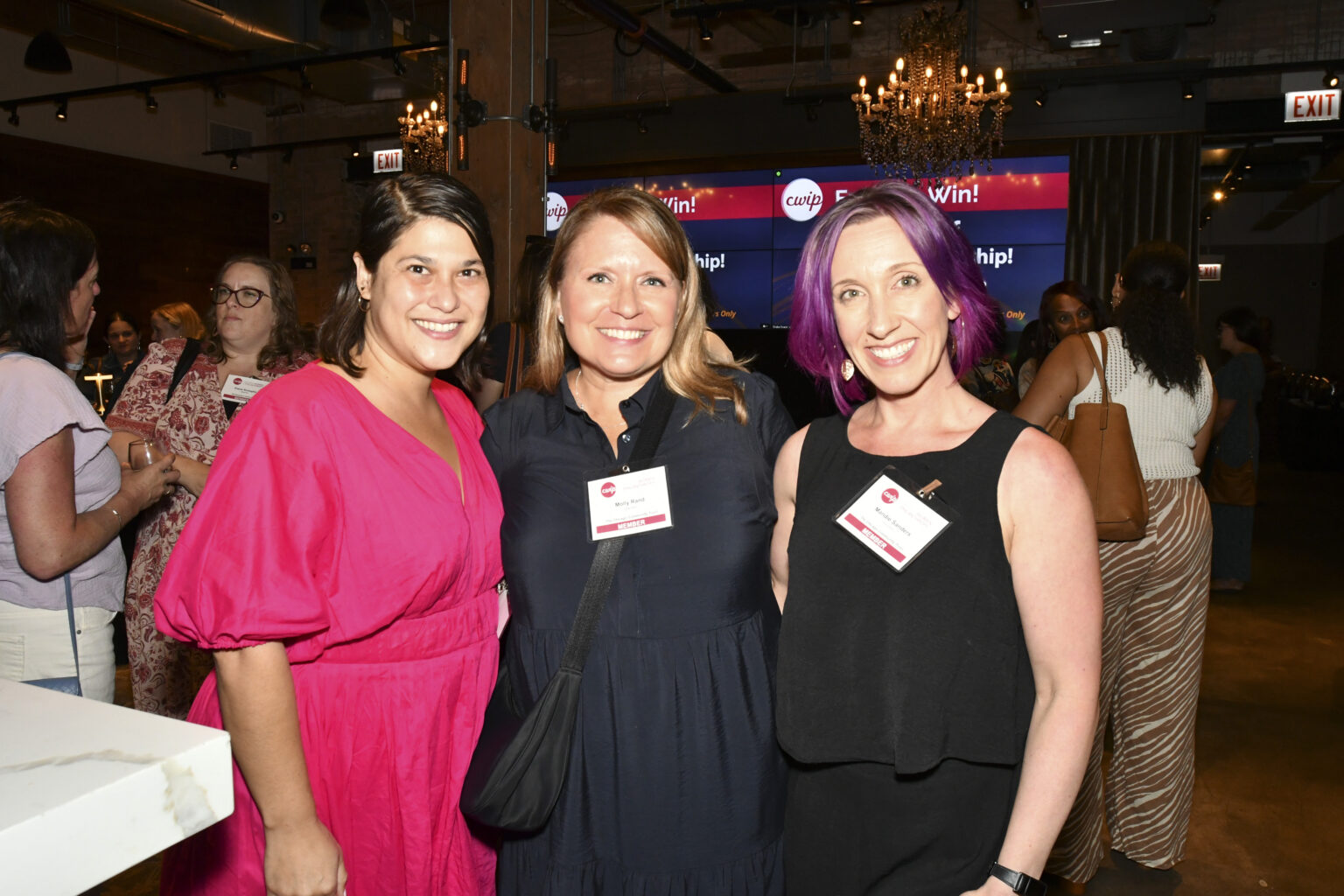 From the Archives: 2015 – Chicago Women in Philanthropy - The Chicago ...