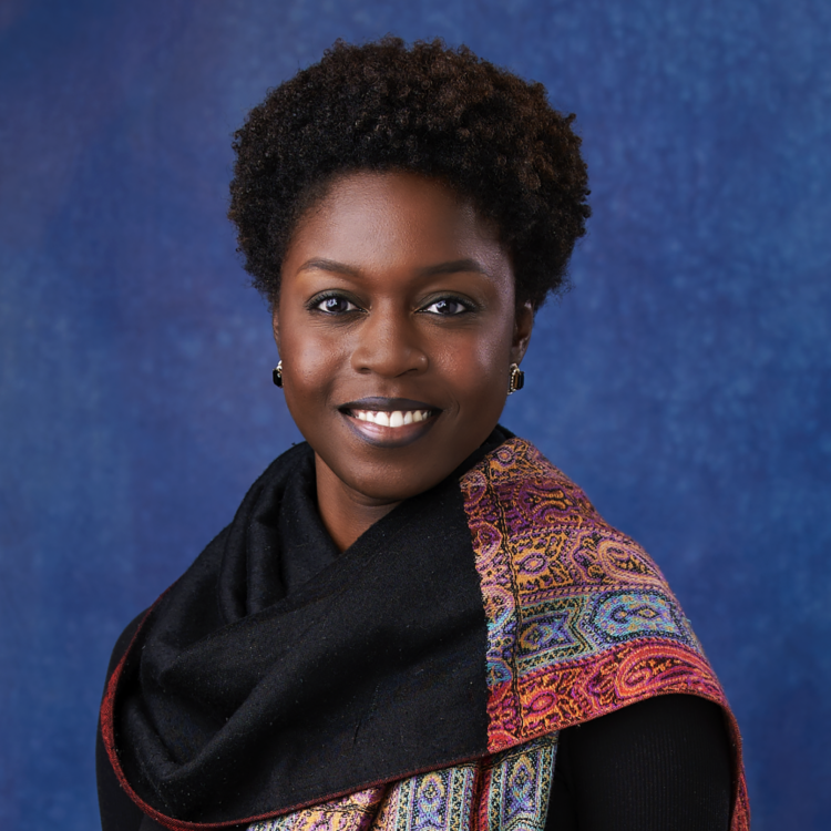 Partnerships & Initiatives - The Chicago Community Trust