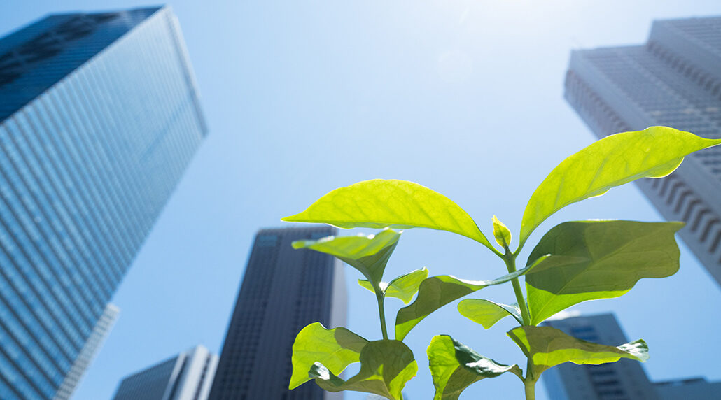Learning from Chicago, to Design the City of the Future - The Chicago ...