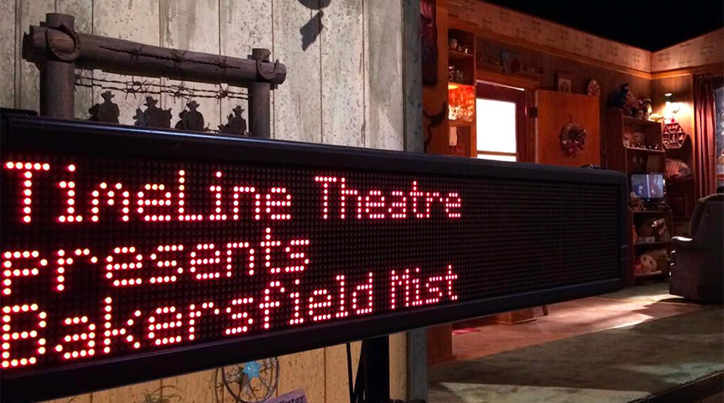 Chicago Theater Makes Strides Toward Accessibility—by Putting Service ...