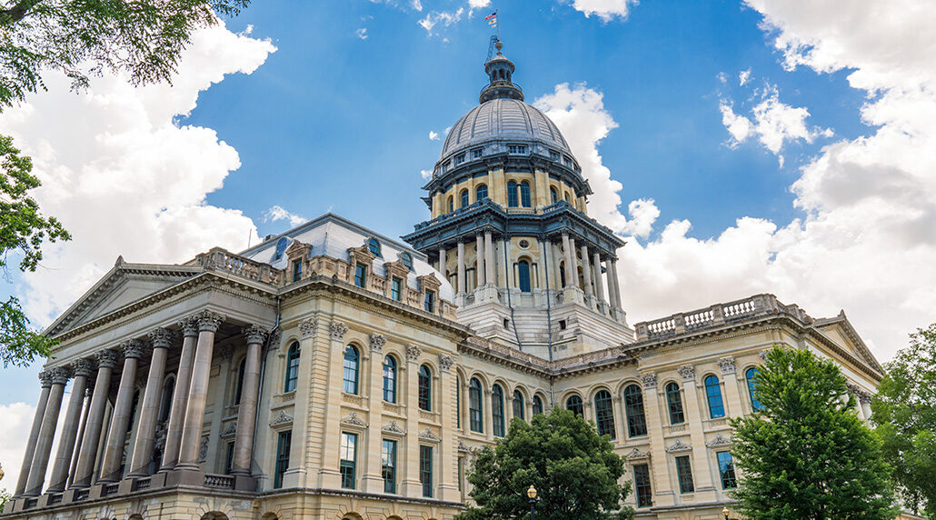 Why Philanthropy Can’t Replace Government in Helping Illinois Thrive ...